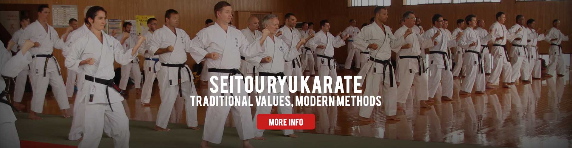 Home - Seitou Ryu Karate
